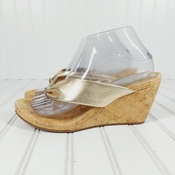 Alex Marie | Shoes | Alex Marie Platform Wedge Thong Sandals C72 | Poshmark